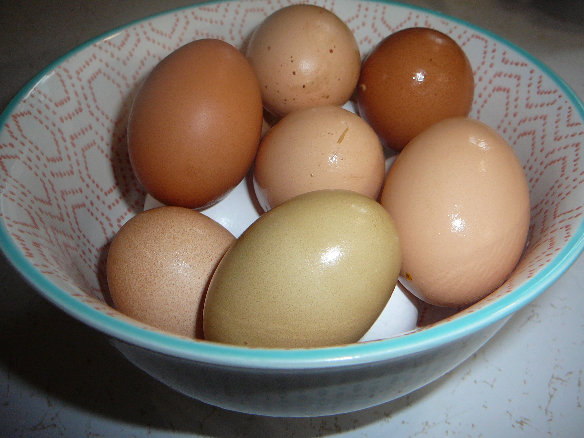 Spring Has Finally Arrived – Randi's Country Kitchen
