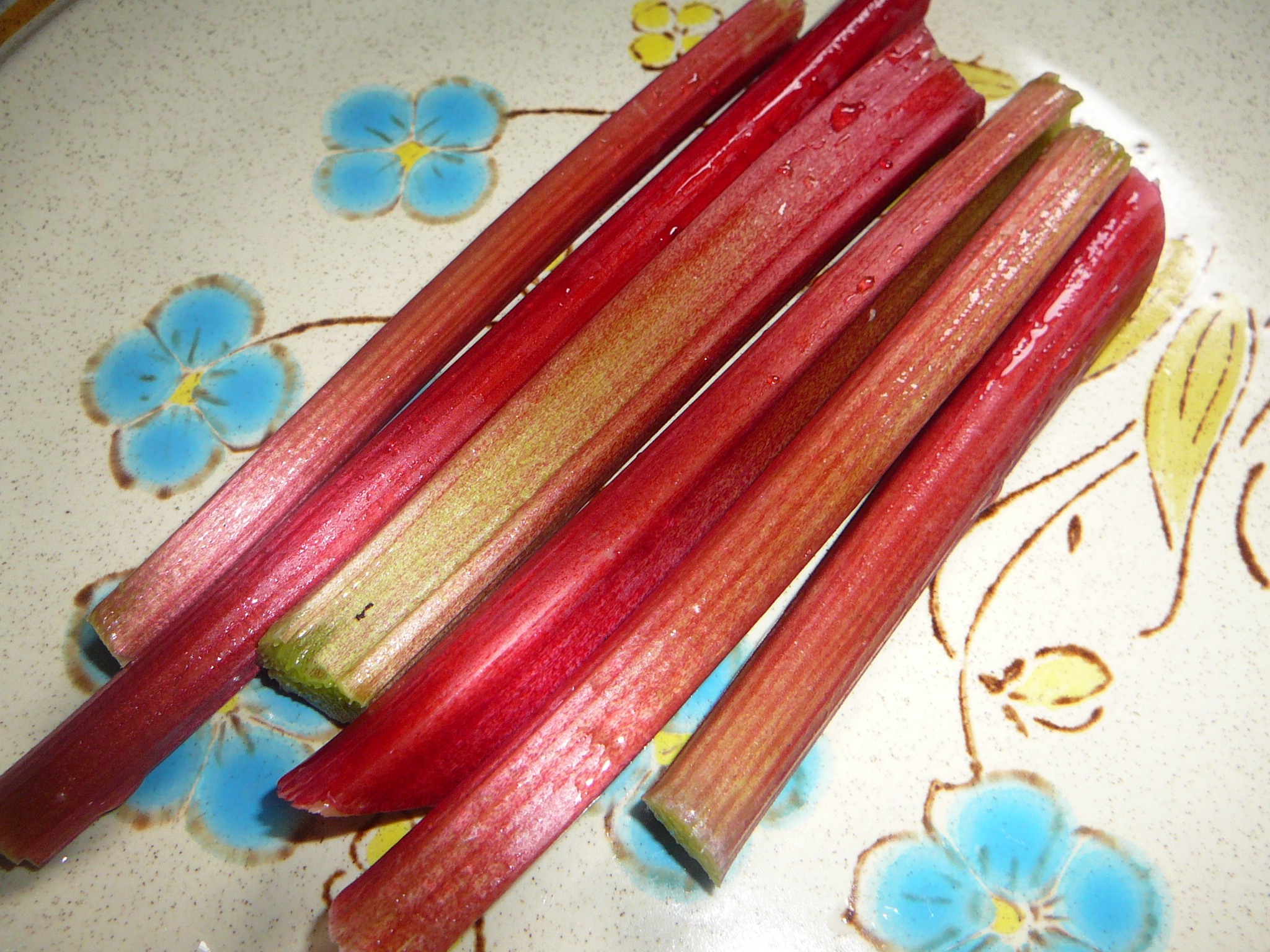 Homemade Rubarb BBQ Sauce – Randi's Country Kitchen